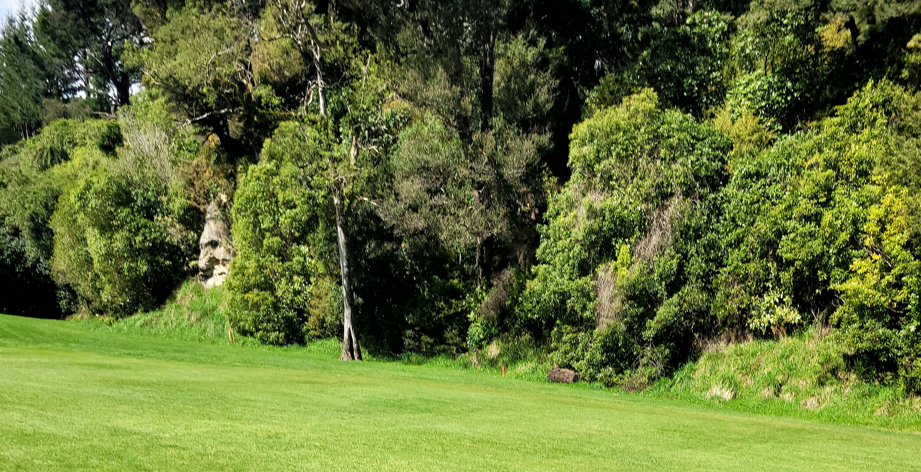 #4 – Gap – Te Marua Golf Club